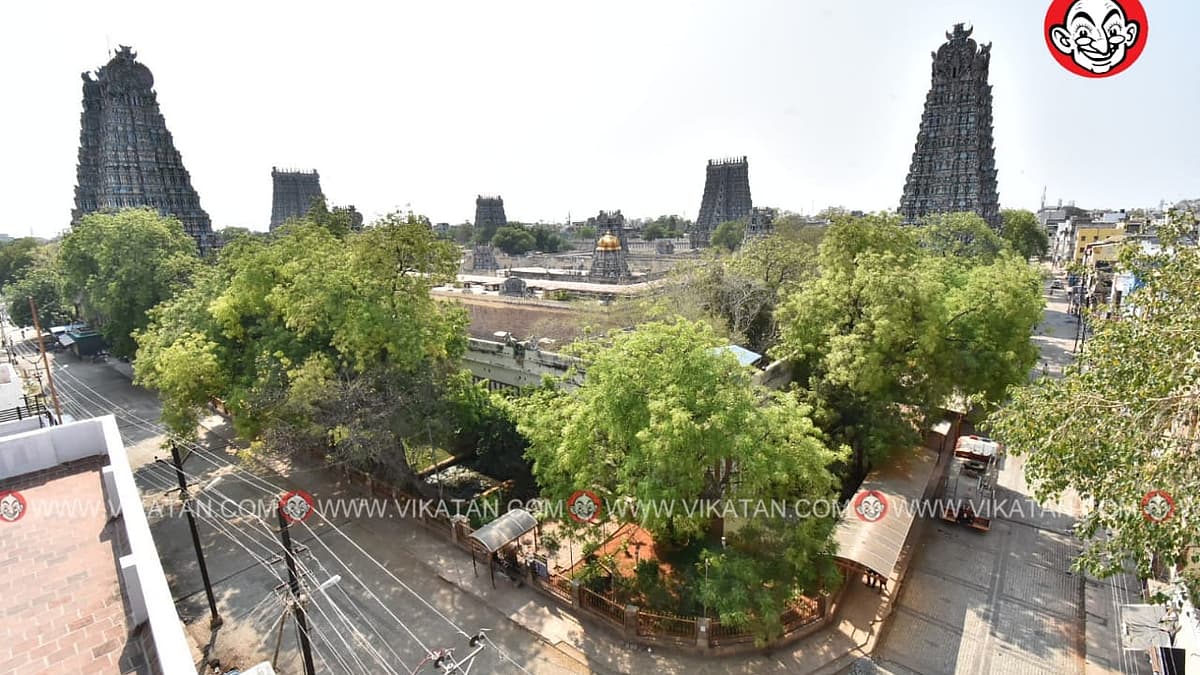 மதுரை: மீனாட்சியம்மன் கோயிலில் தை மாத தெப்பத்திருவிழா; கொடியேற்றத்துடன் ...