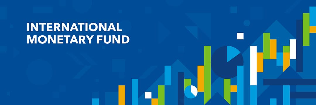 'பாகிஸ்தானுக்கு ஏன் கடன் கொடுத்தோம்?' - IMF சொல்லும் பதில்! - Vikatan