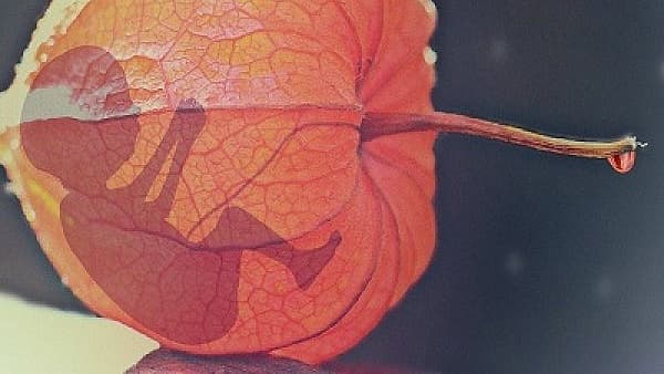 கர்ப்பப்பையின் வாய்ப்பகுதி பலவீனமாகி கருச்சிதைவு ஏற்பட வாய்ப்பு உண்டா ...