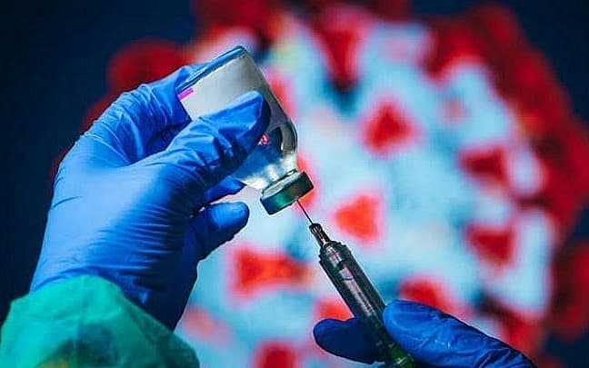 Doctor Vikatan: பூரான் கடித்தால் விஷமா... இதற்கு சிகிச்சை அவசியமா ...