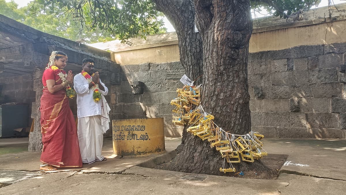 `தேடி வருவோர்க்கெல்லாம் வரன் தேடித்தரும் தலம்’ - திருவிடந்தை ஸ்ரீநித்ய கல்யாண பெருமாள் ...