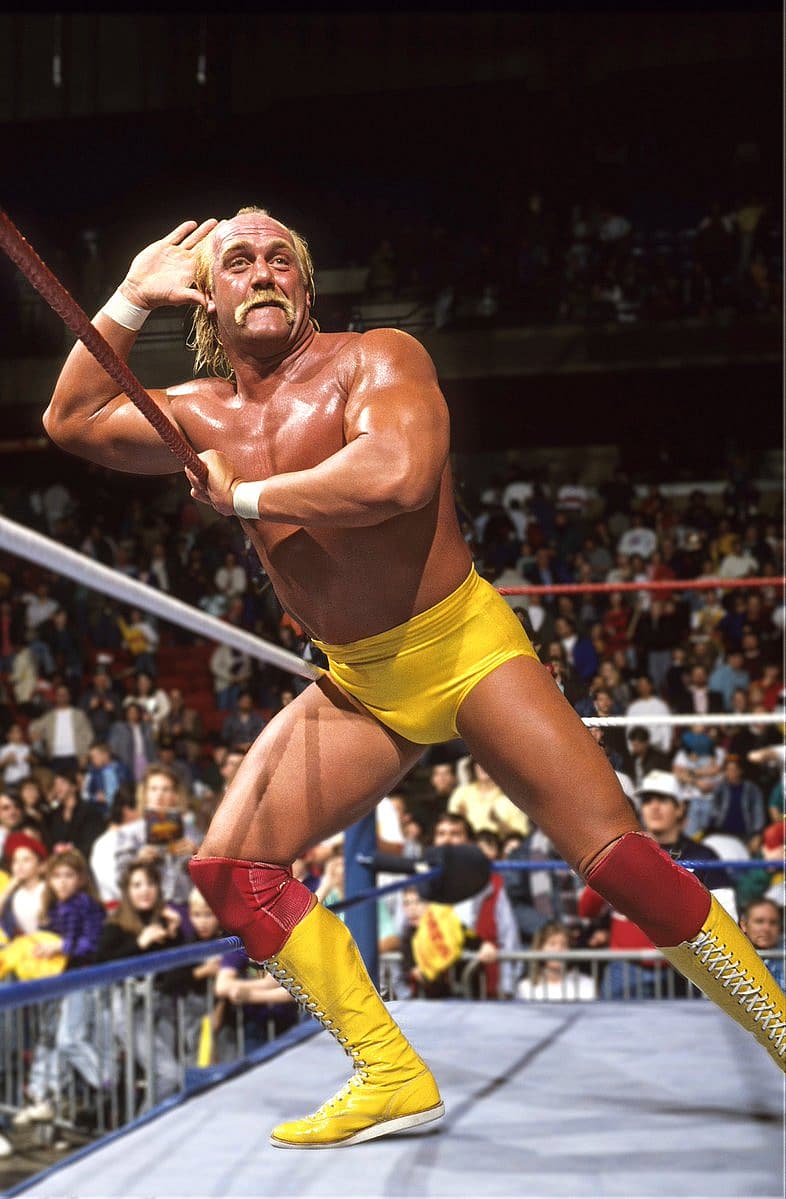 Hulk Hogan; WWE; America; பிரபல WWE மல்யுத்த வீரர் ஹல்க் ஹோகன் ...
