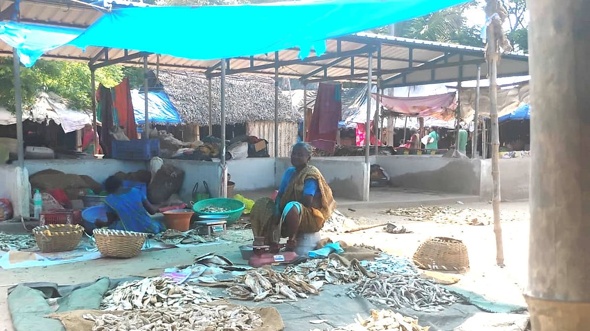 மயிலாடுதுறை: அடிப்படை வசதி கூட இல்லாமல் தவிக்கும் நூற்றாண்டு ...