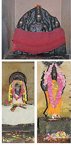 திருச்சி மாவட்டம் துடையூர் ஸ்ரீவிஷமங்களேஷ்வரர் கோயில்: விஷக்கடிகள் ...